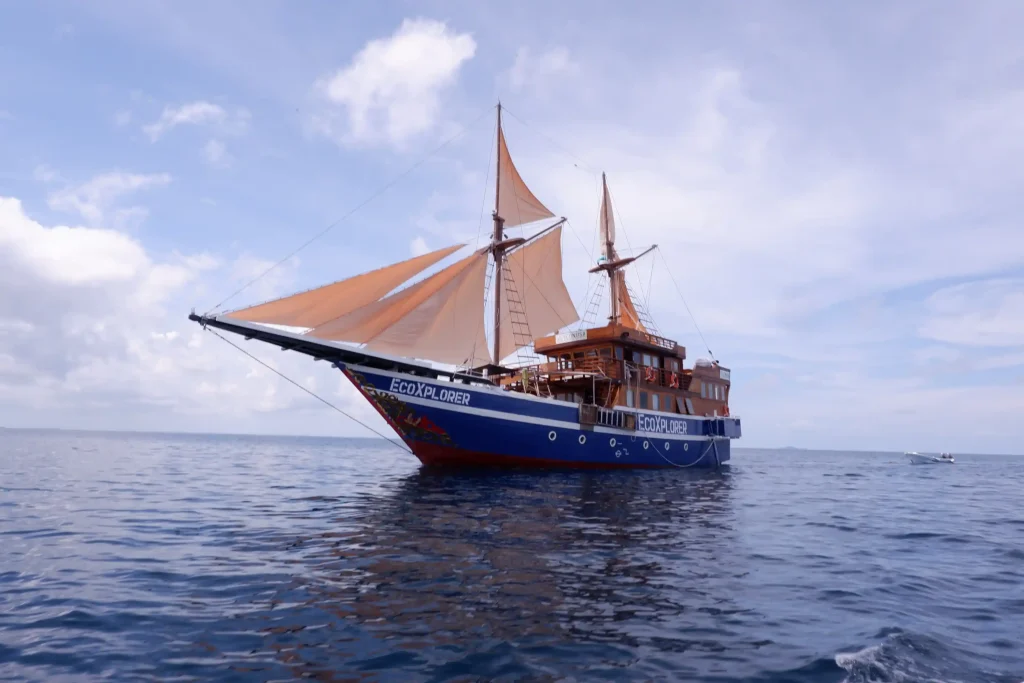 Indonesia Liveaboard Scuba Diving - Exclusive Trip in 2025
