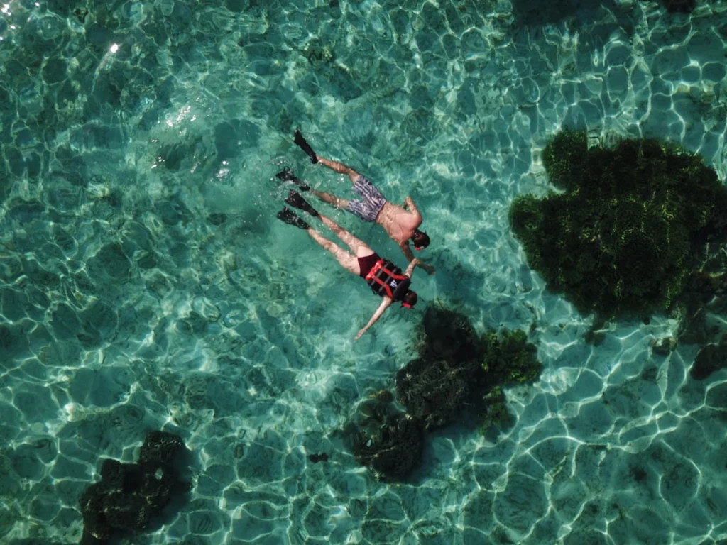 Why Siaba Besar Is Komodo’s Secret Turtle City Everyone Wants to See ...